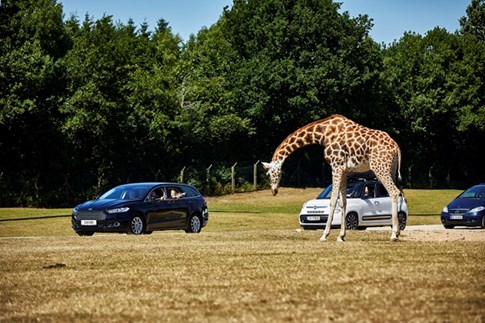 GIVSKUD ZOO mit 20% Rabatt - Wählen Sie aus 607 Ferienhäusern ...